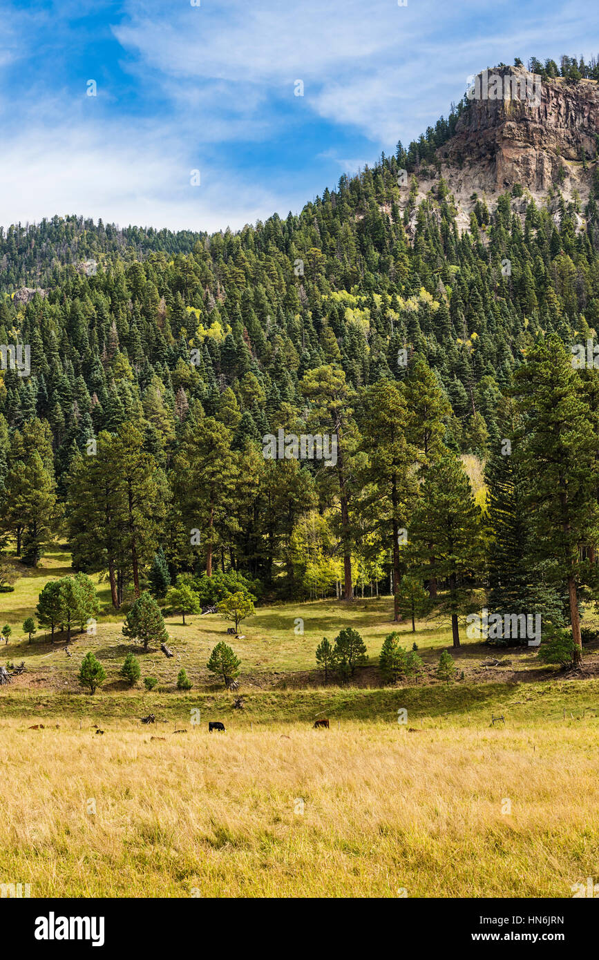 Colorado farm view hi-res stock photography and images - Alamy