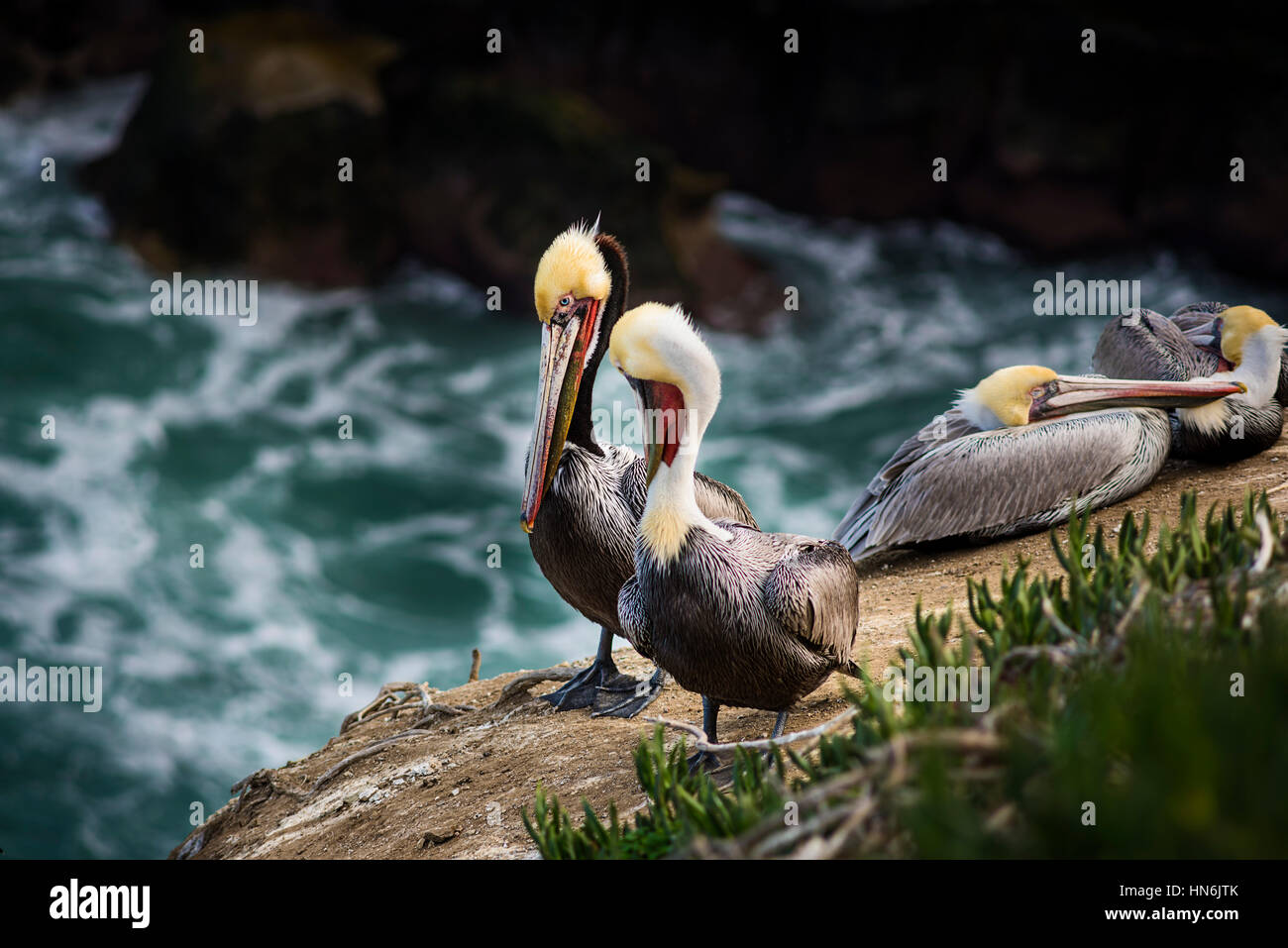 Ocean four hi-res stock photography and images - Alamy