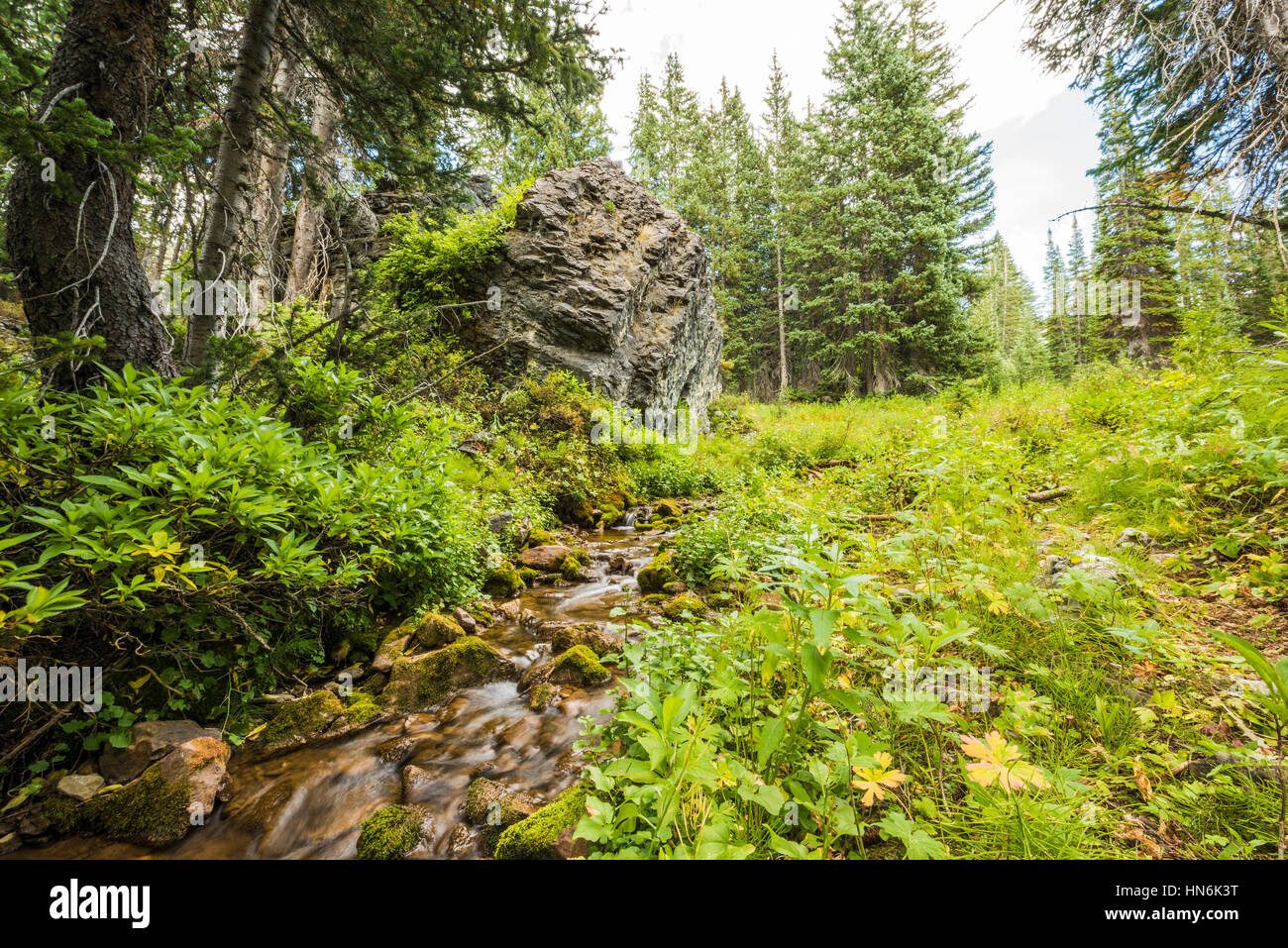 Salt river basin hi-res stock photography and images - Alamy