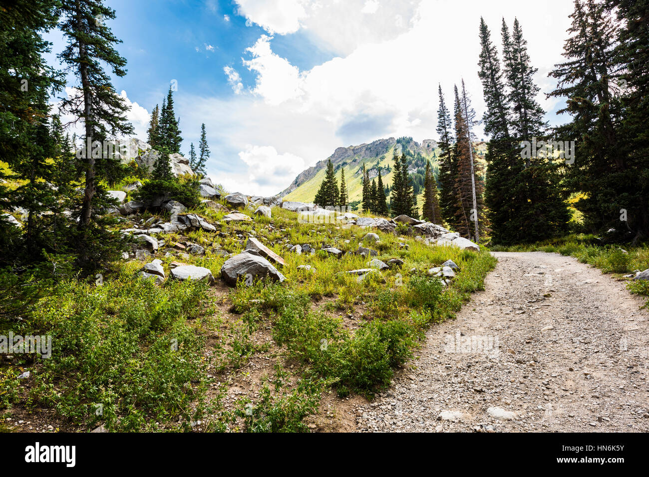 Albion Basin landscape scenery with alpine meadows photographed during ...