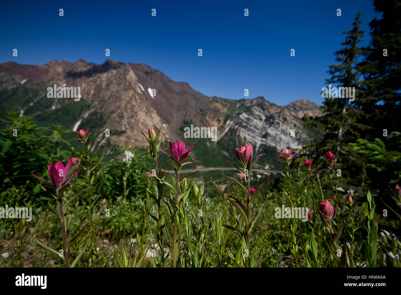 Wild geography hi-res stock photography and images - Alamy