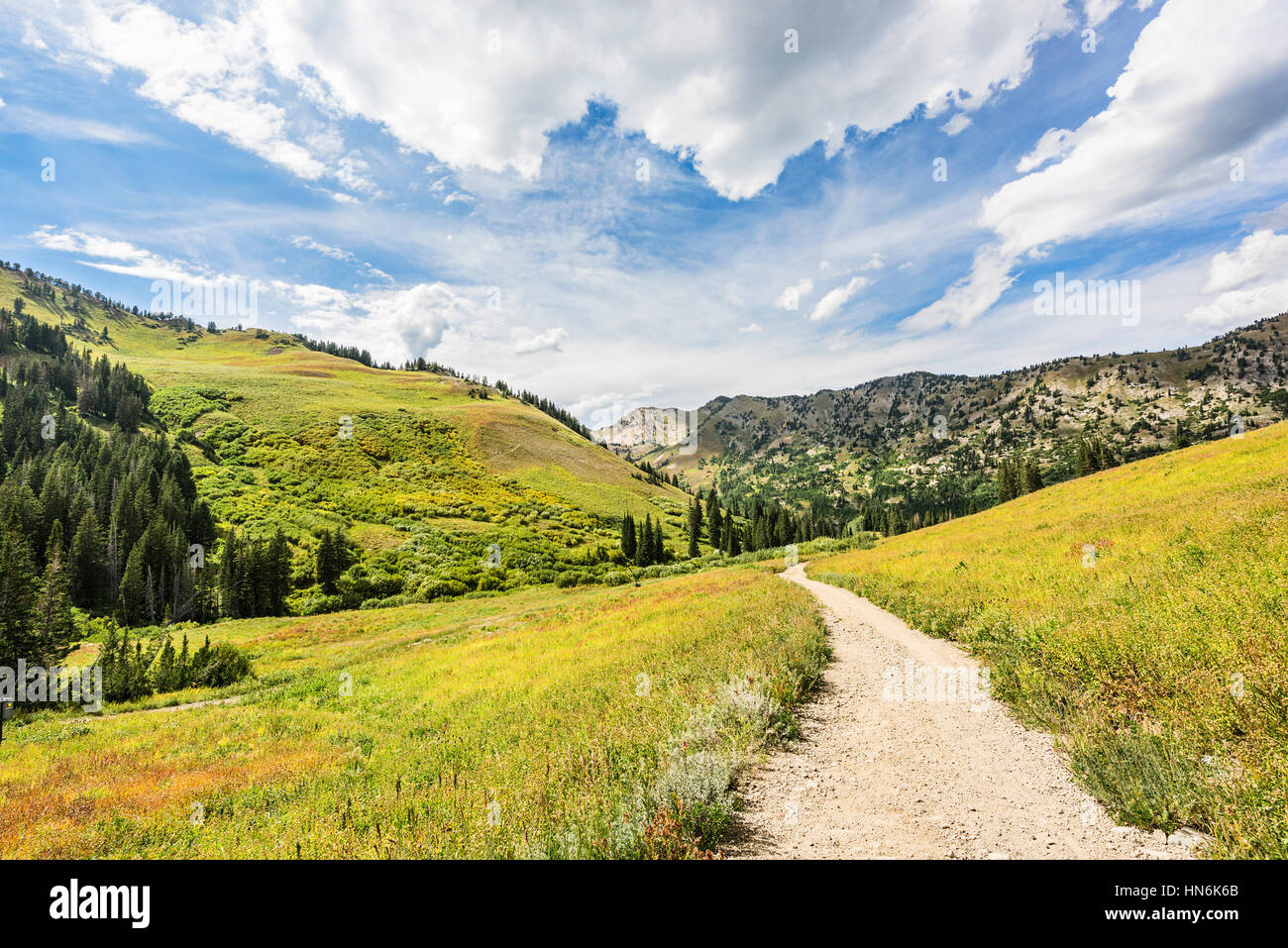 Albion Basin landscape scenery with alpine meadows photographed during ...