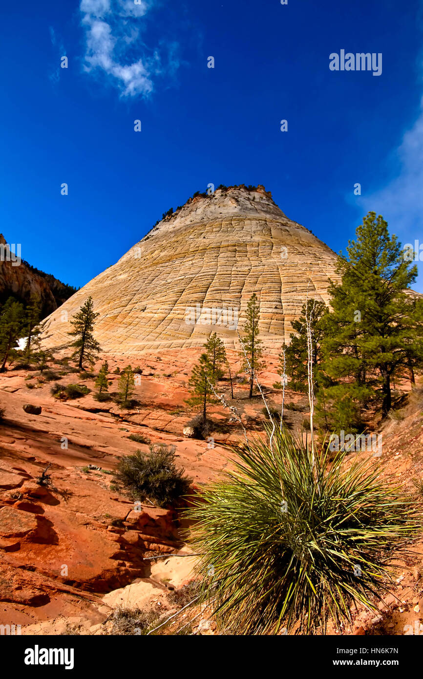 Checkerboard Mountain in Zion National Park, Springville, Utah, USA ...