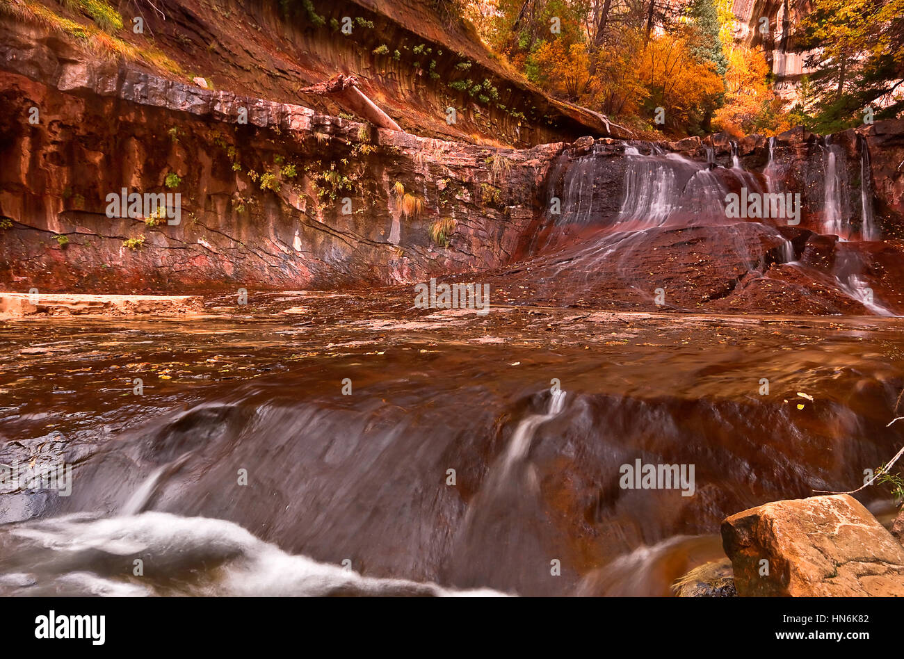 Virgin River on the Subway Trail Hike, Zion National Park, Springville ...