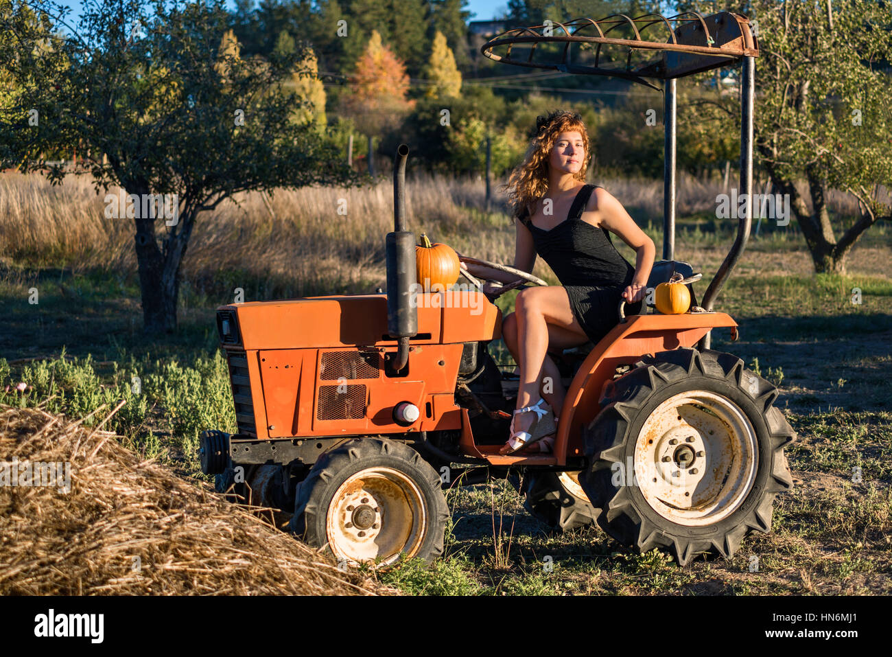 Woman Driving Tractor Stock Photos & Woman Driving Tractor Stock Images ...