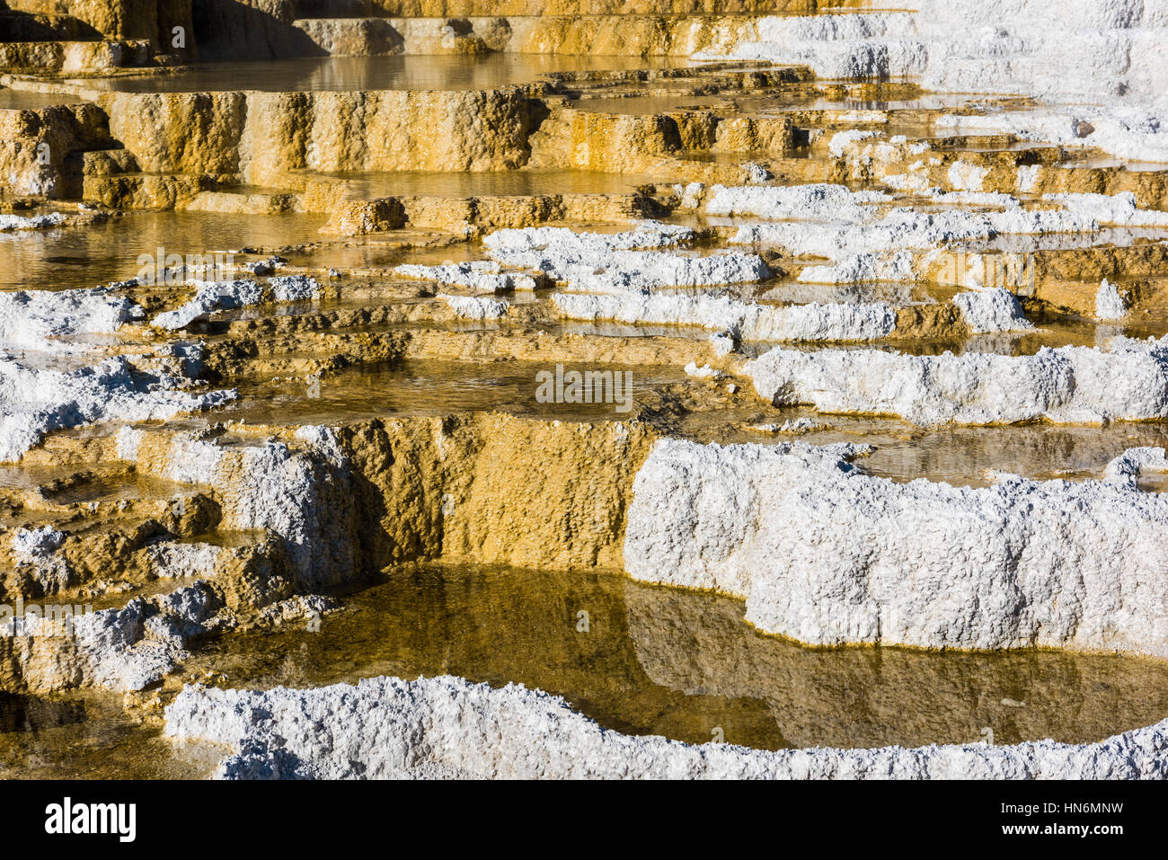 Mammoth hot springs travertine terraces in Yellowstone National Park ...
