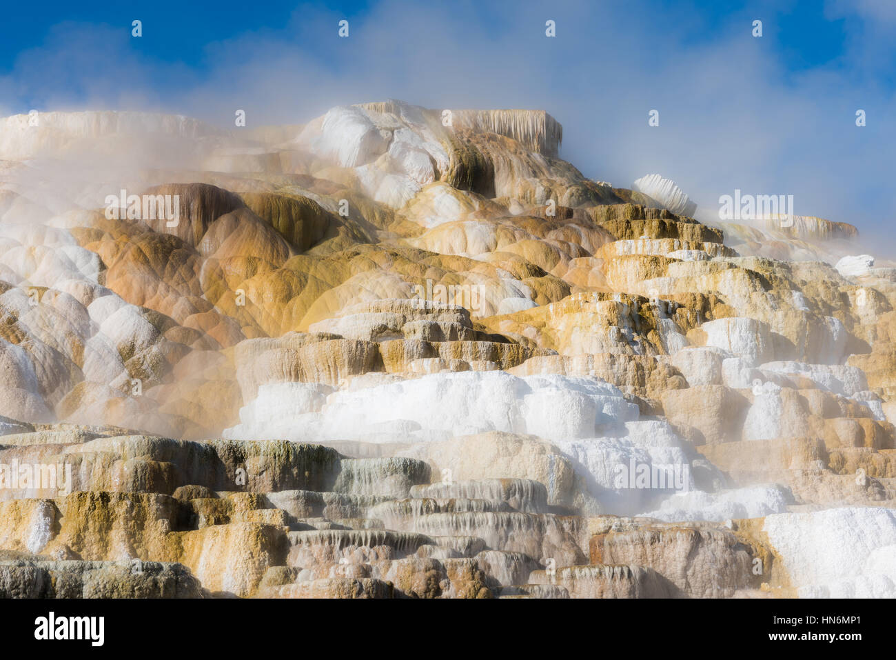Mammoth hot springs travertine terraces in Yellowstone National Park ...