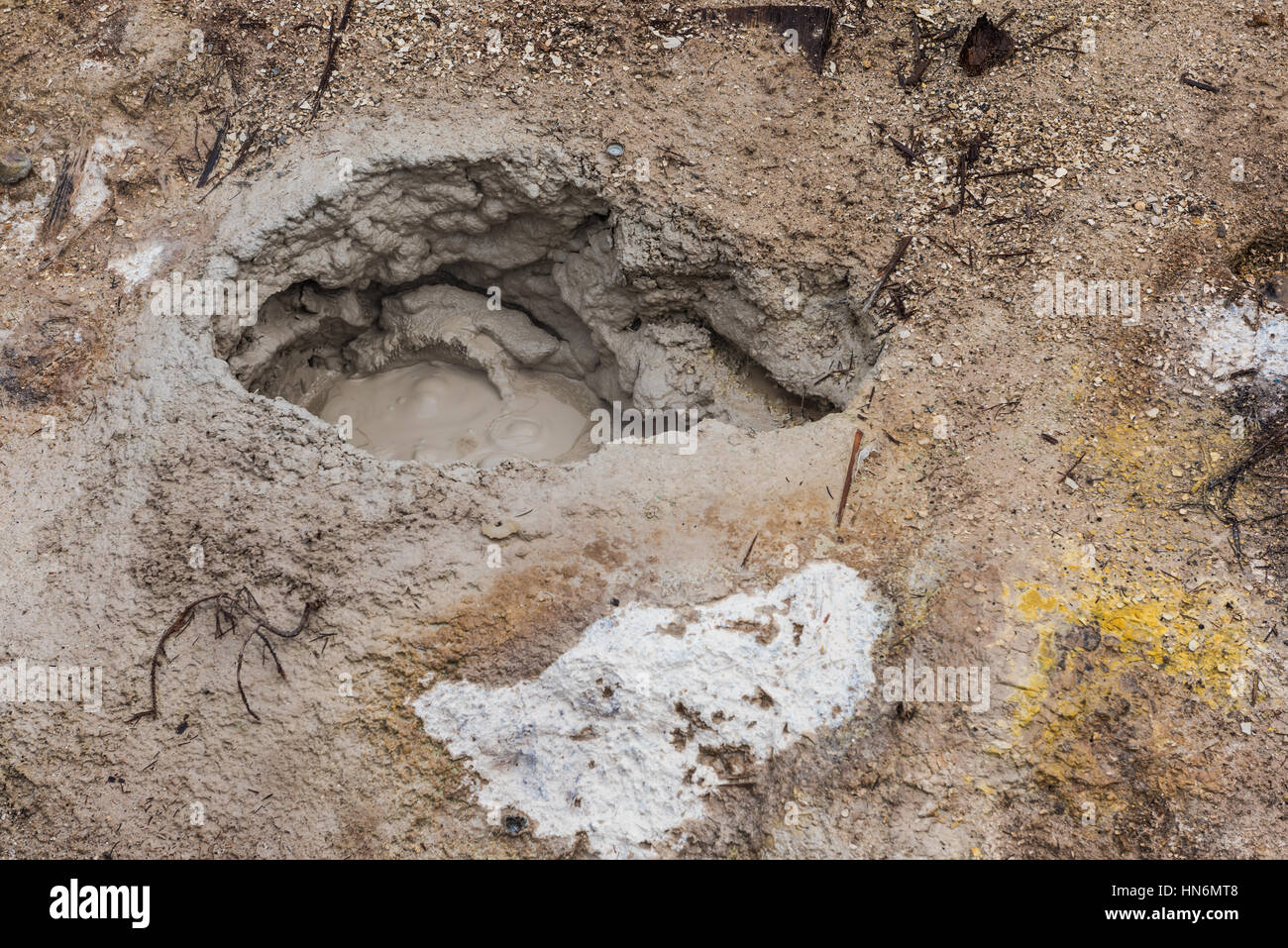 Boiling mud volcano in Yellowstone National Park with bubbles Stock ...