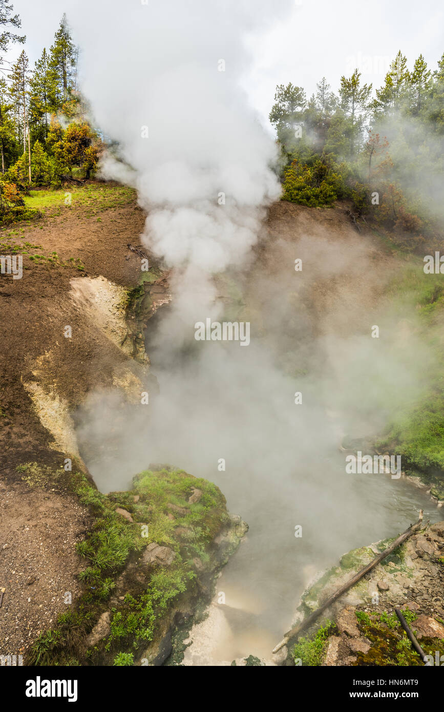 Boiling water from volcano hi-res stock photography and images - Alamy