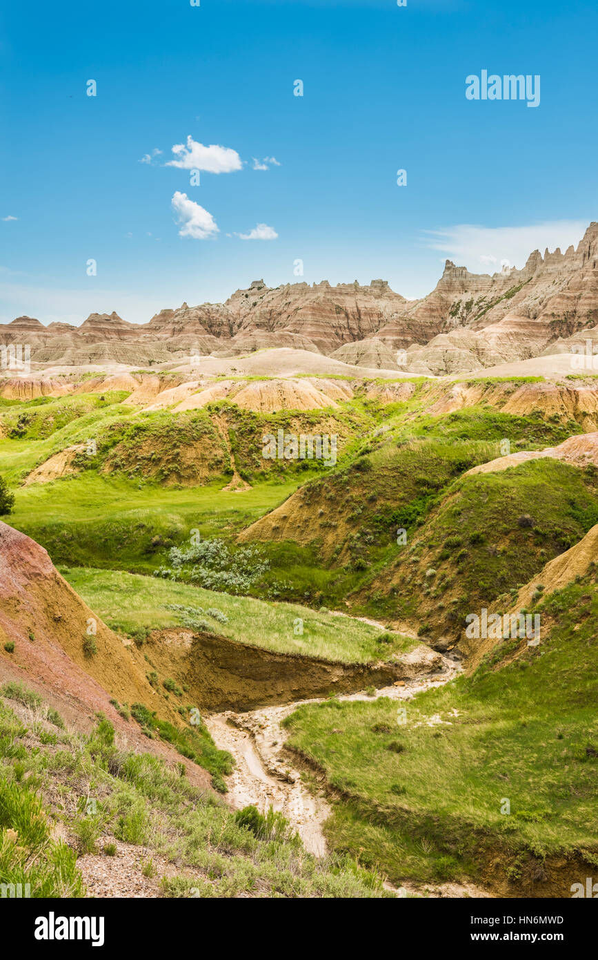 Dried up stream in Badlands National Park with green grass and canyons ...