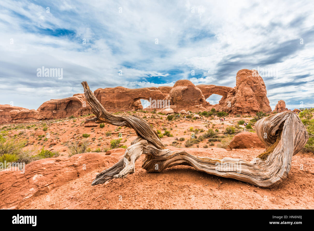 Two windows arches in national park with cloudy sky and dried pine ...