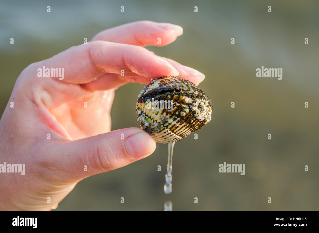 Water dripping hand hi-res stock photography and images - Alamy