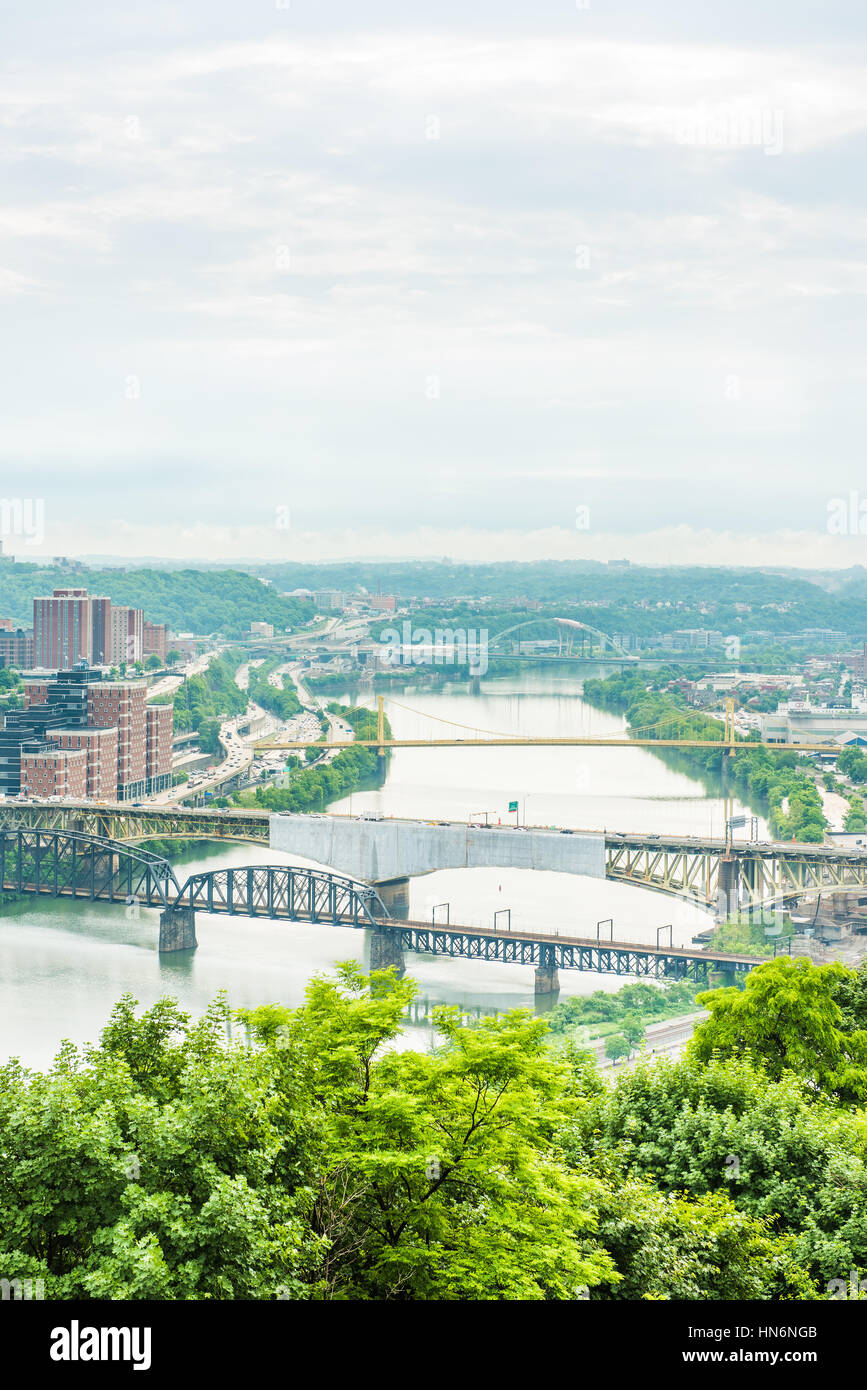 Vertical view of Pittsburgh city cityscape or skyline on overcast day ...