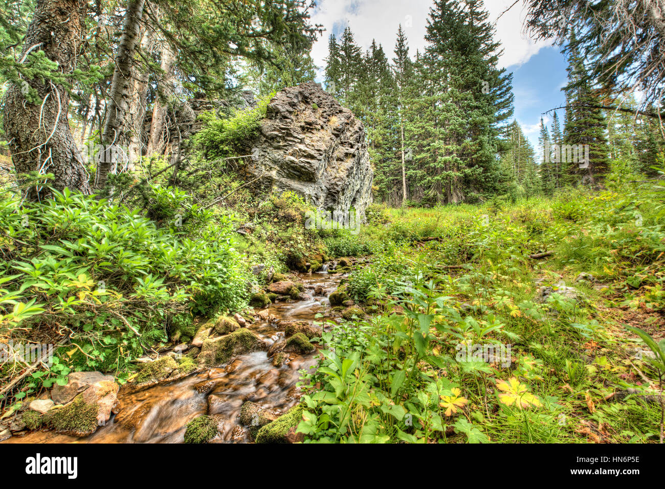 Wasatch national forest hi-res stock photography and images - Alamy