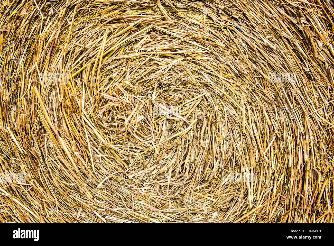 Ground straw texture hi-res stock photography and images - Alamy