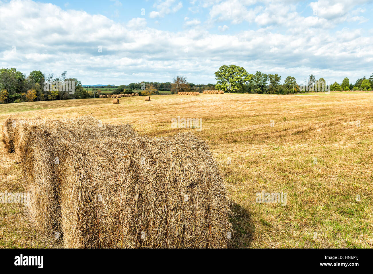 Hay bale ball hi-res stock photography and images - Alamy