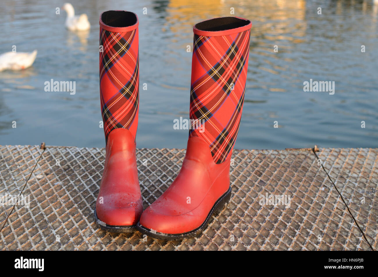 Tartan shoes hi-res stock photography and images - Alamy