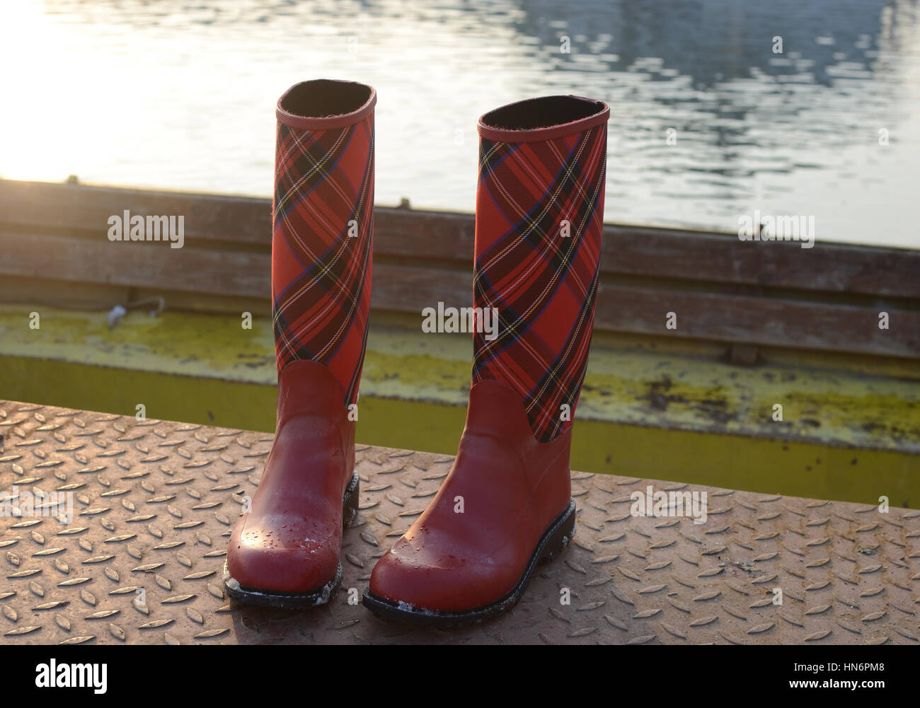 Tartan shoes hi-res stock photography and images - Alamy