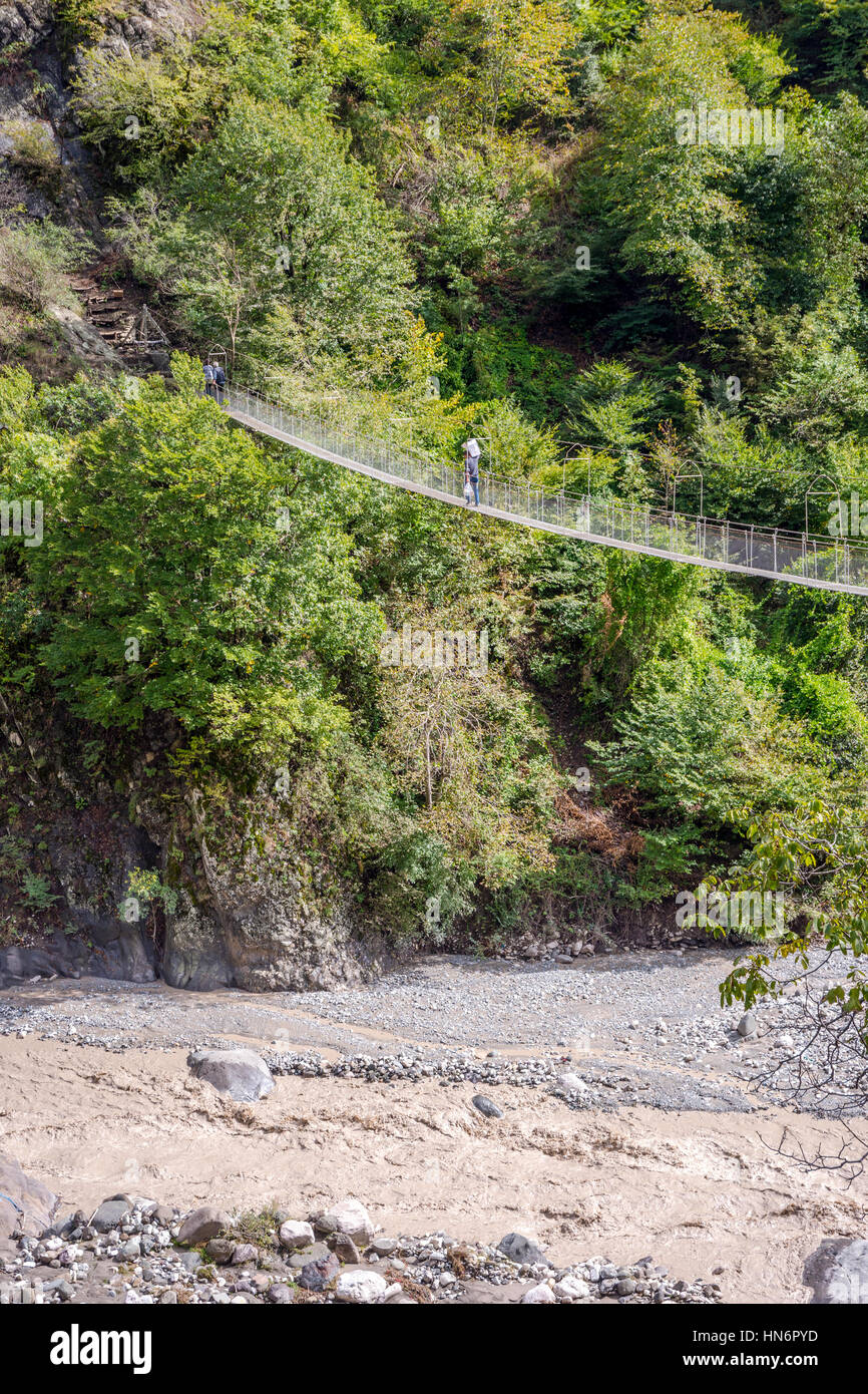 Monkey bridge hi-res stock photography and images - Alamy