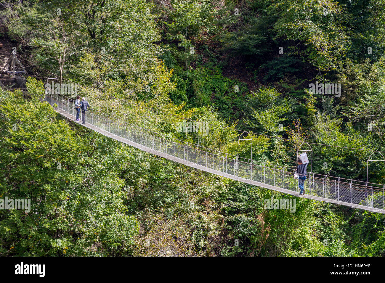 Monkey bridge hi-res stock photography and images - Alamy