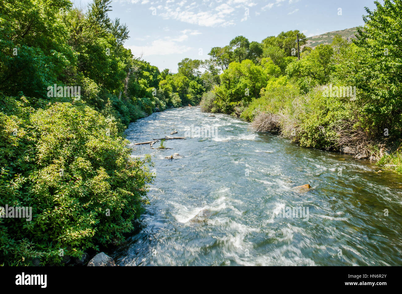 Little Cottonwood Creek River in Utah's Wasatch Range Stock Photo - Alamy