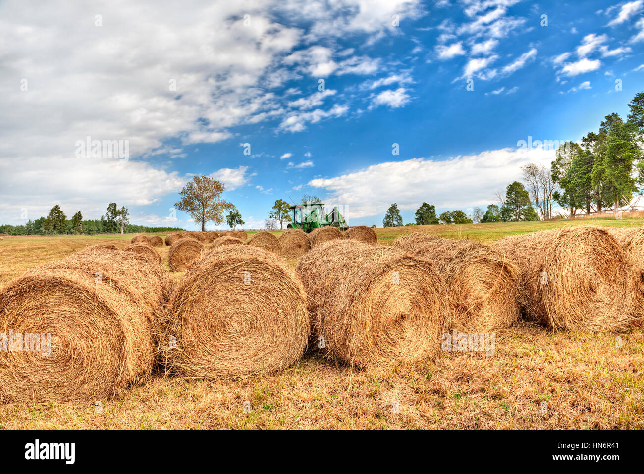 Row of hay hi-res stock photography and images - Alamy