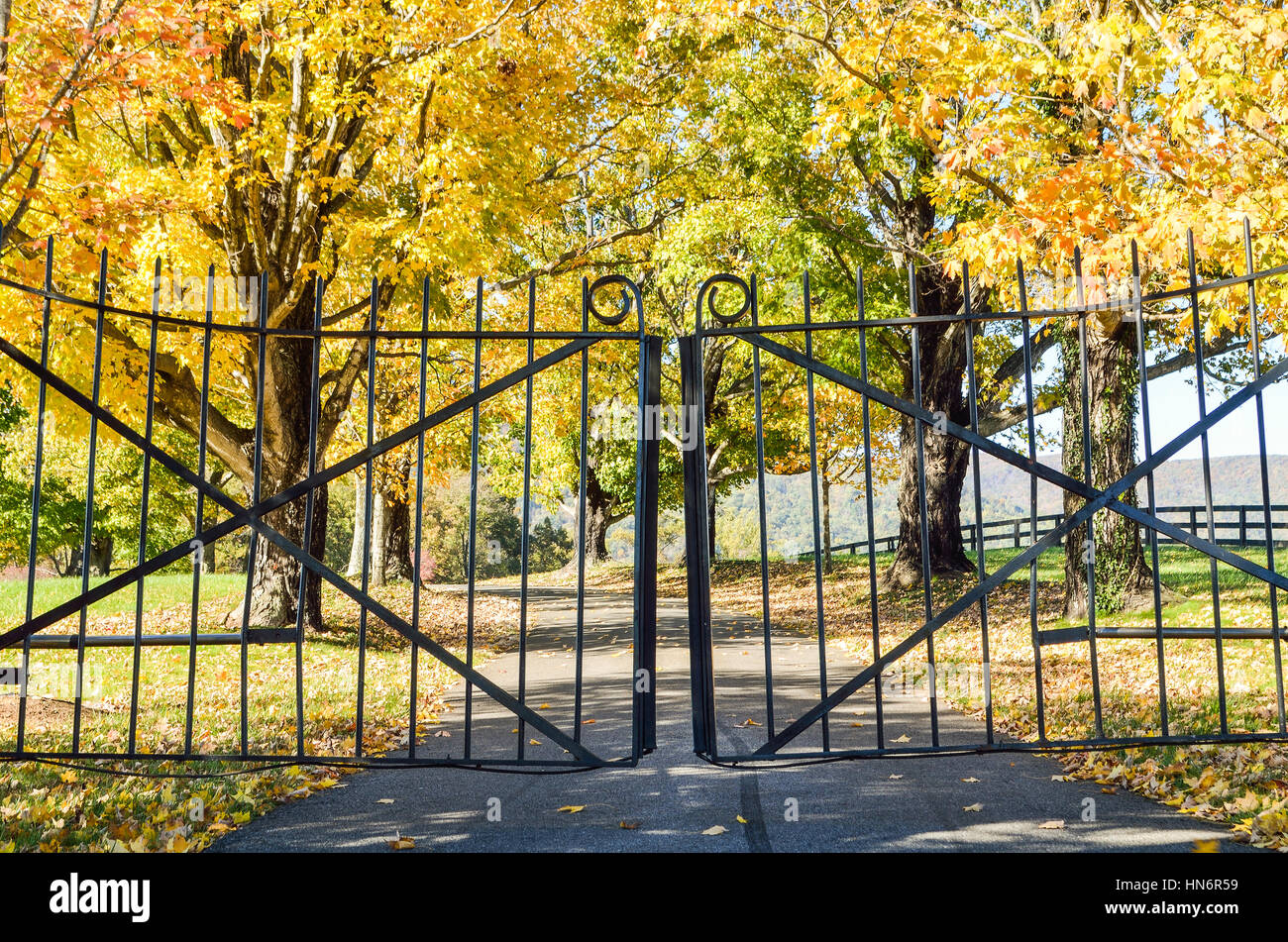 Gated entrance with road during golden autumn in rural countryside ...