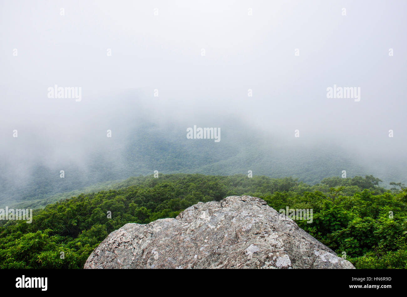 Blue ridge mountains virginia fog mist hi-res stock photography and ...