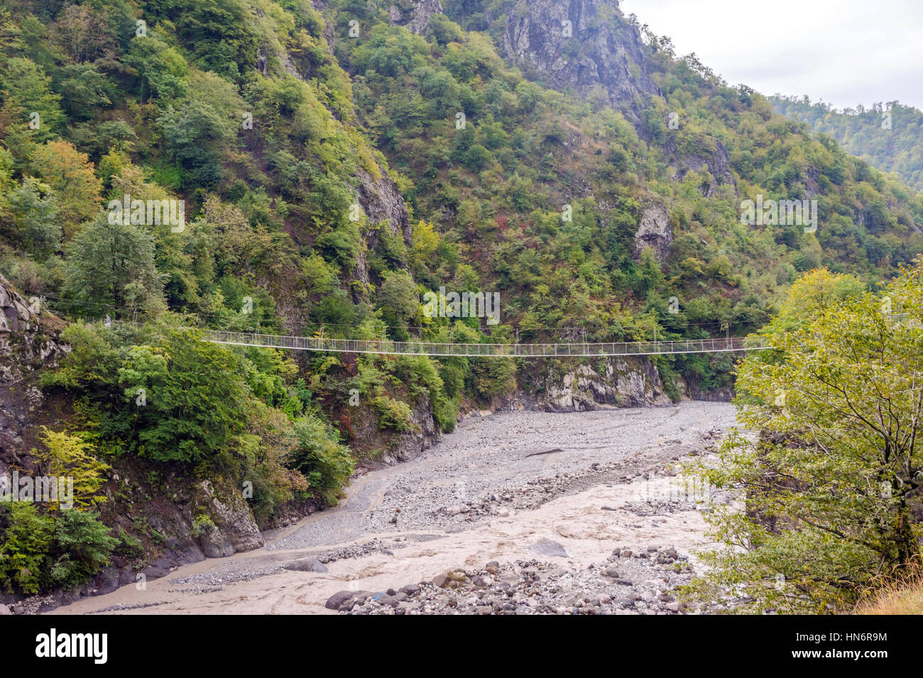 Monkey On Rope Bridge