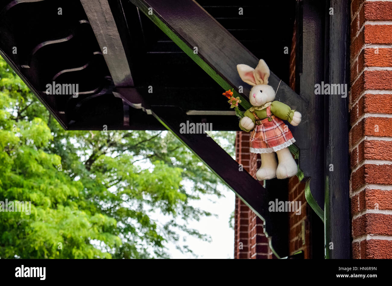 Hanging rabbit hi-res stock photography and images - Alamy
