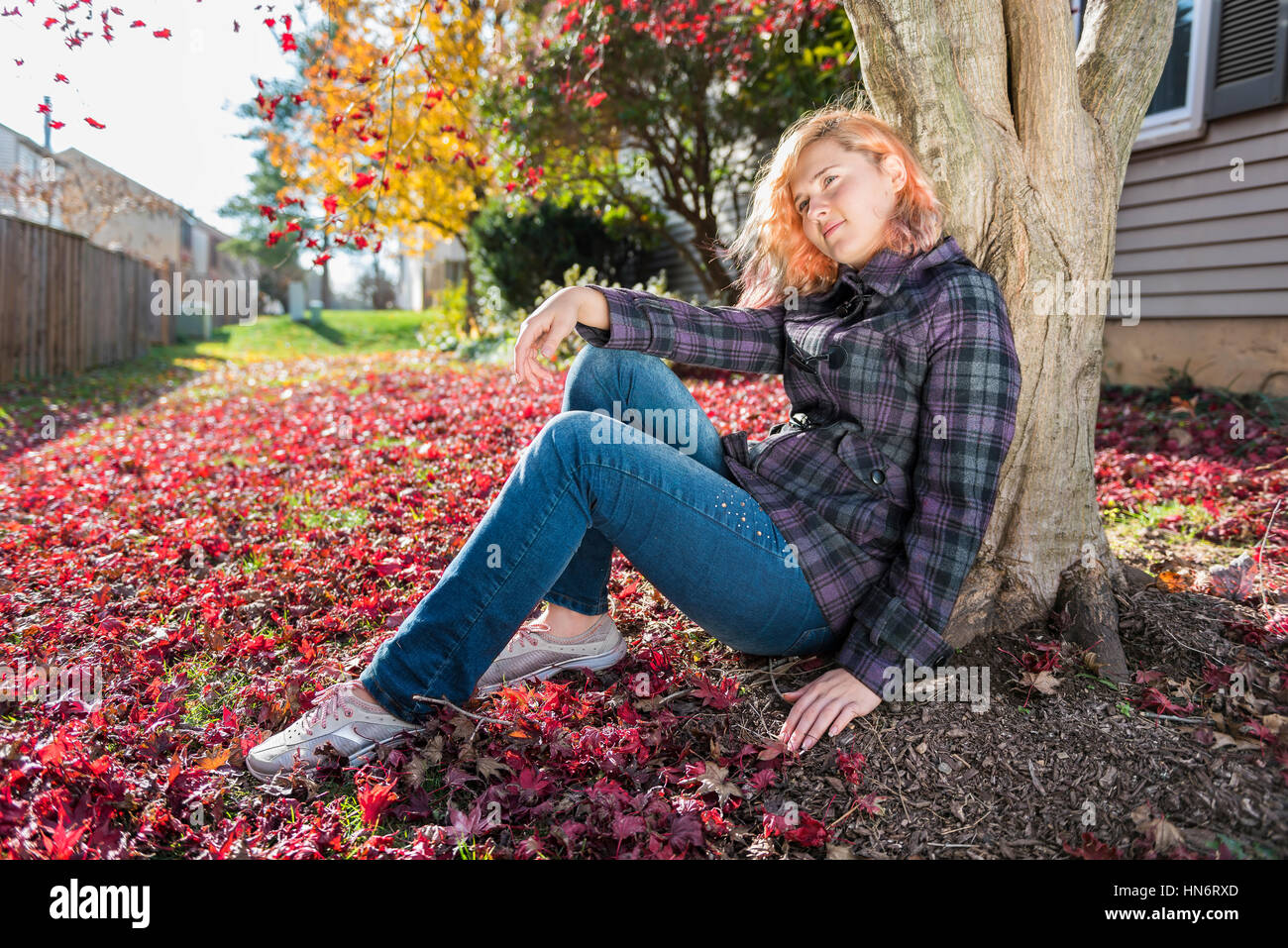 Young woman sitting by tree in autumn red maple leaves foliage in ...