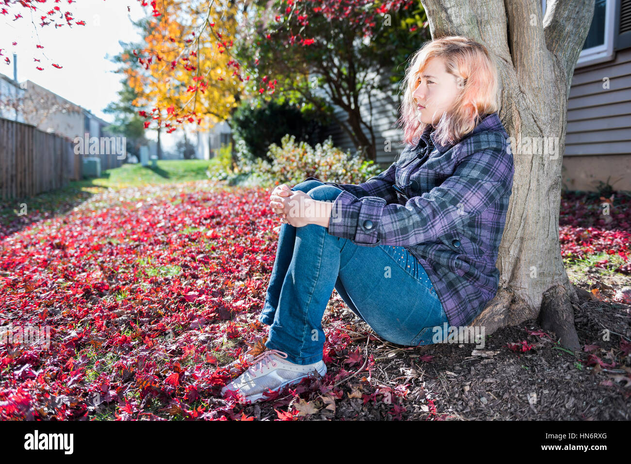 Young woman sitting by tree in autumn red maple leaves foliage in ...