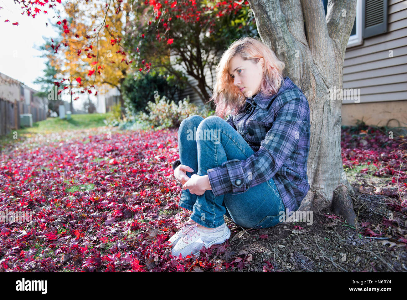 Young woman sitting by tree in autumn red maple leaves foliage in ...