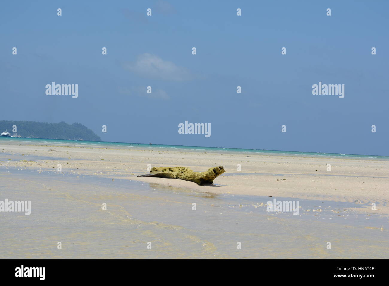 Wood log in Beach sand with blue sky Stock Photo - Alamy