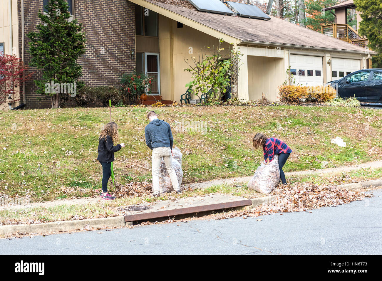 Fairfax, USA - November 24, 2016: Three young people gathering fallen ...