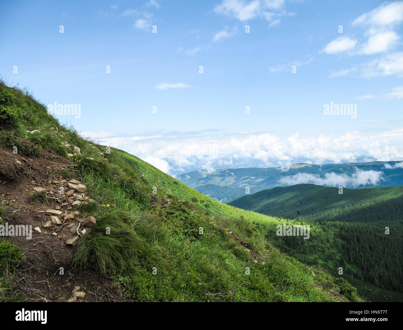Carpathian mountain landscape summer in Ukraine on Hoverla hike Stock ...