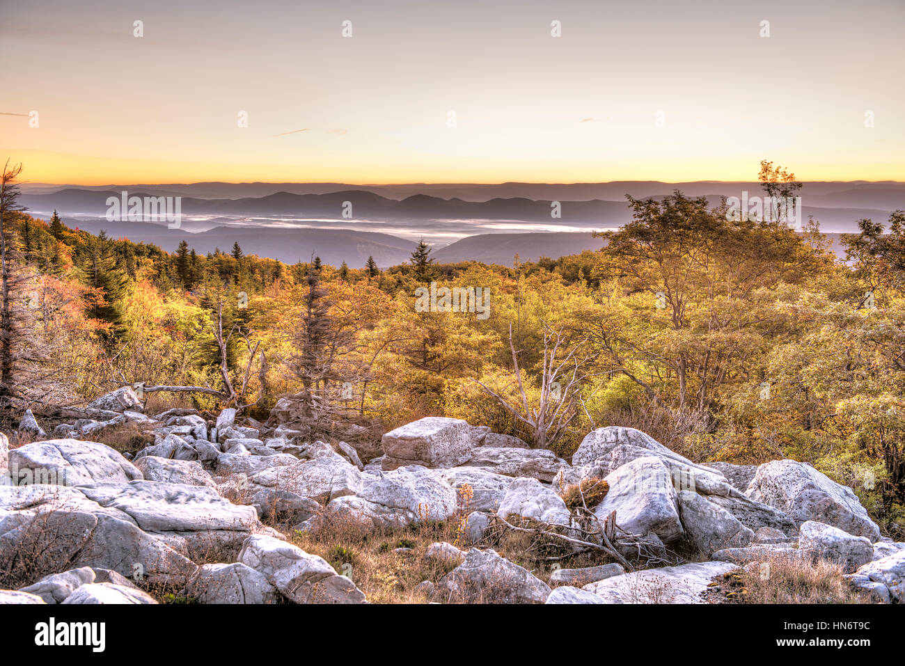 Bear rocks sunrise during autumn with rocky landscape in Dolly Sods ...