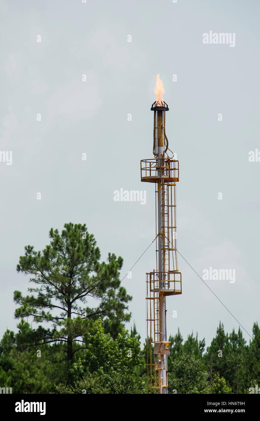 Oil refinery natural gas light flame on tower with trees Stock Photo ...