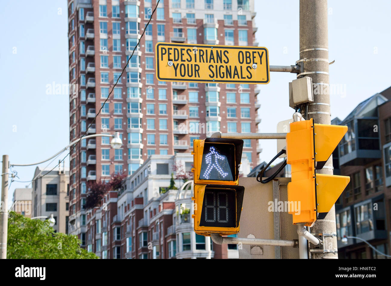 Toronto pedestrians hi-res stock photography and images - Alamy
