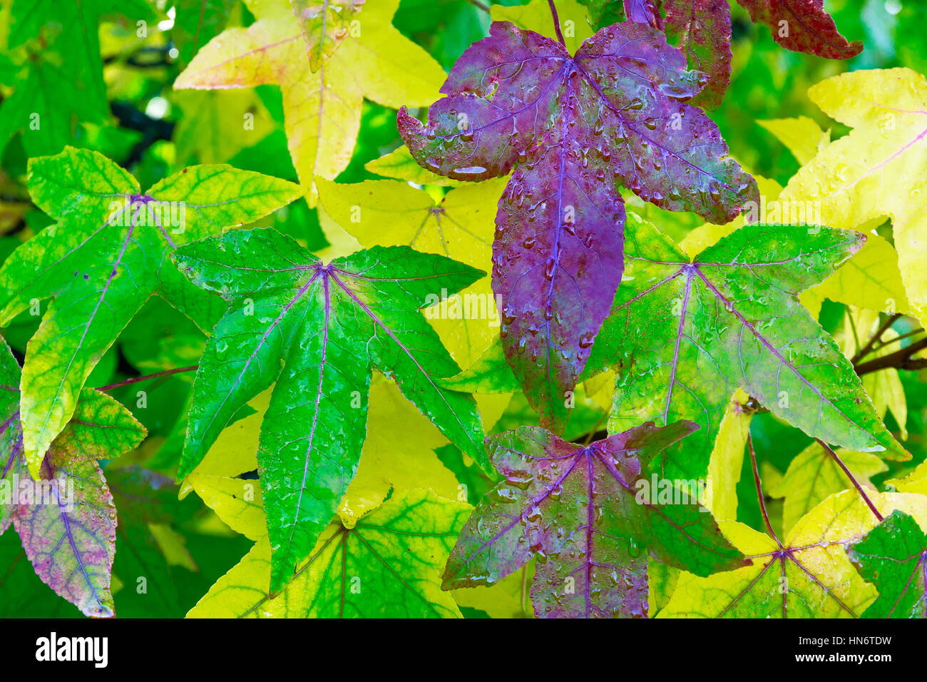 Season change hi-res stock photography and images - Alamy