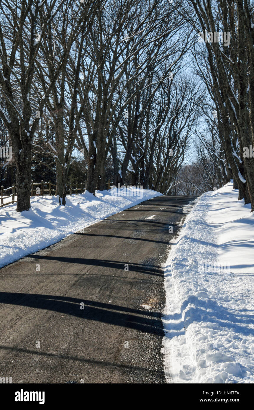 A road leading to Ash Lawn-Highland, Home of President James Monroe ...