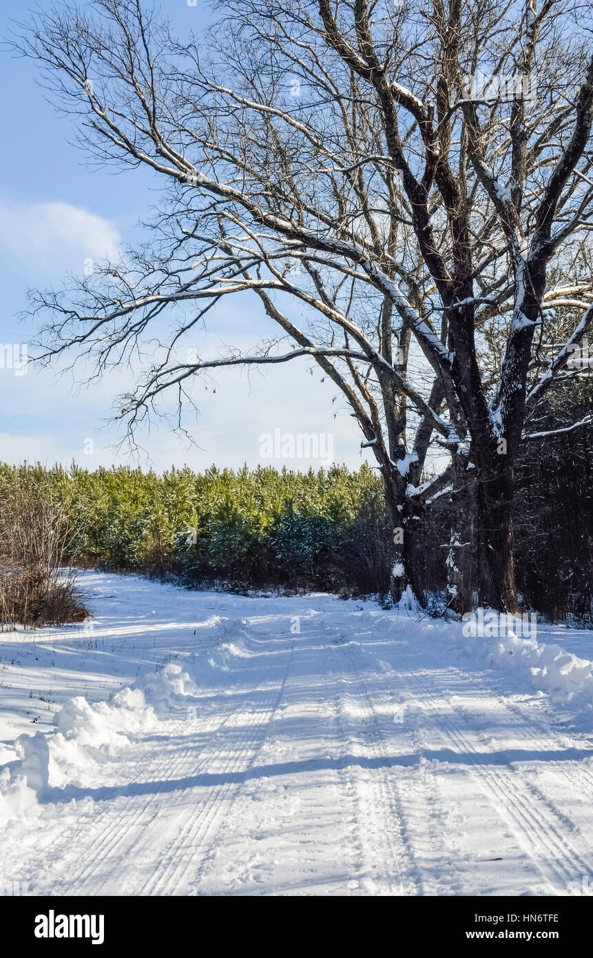 A winter rural road leading to farm fields covered in snow Stock Photo ...