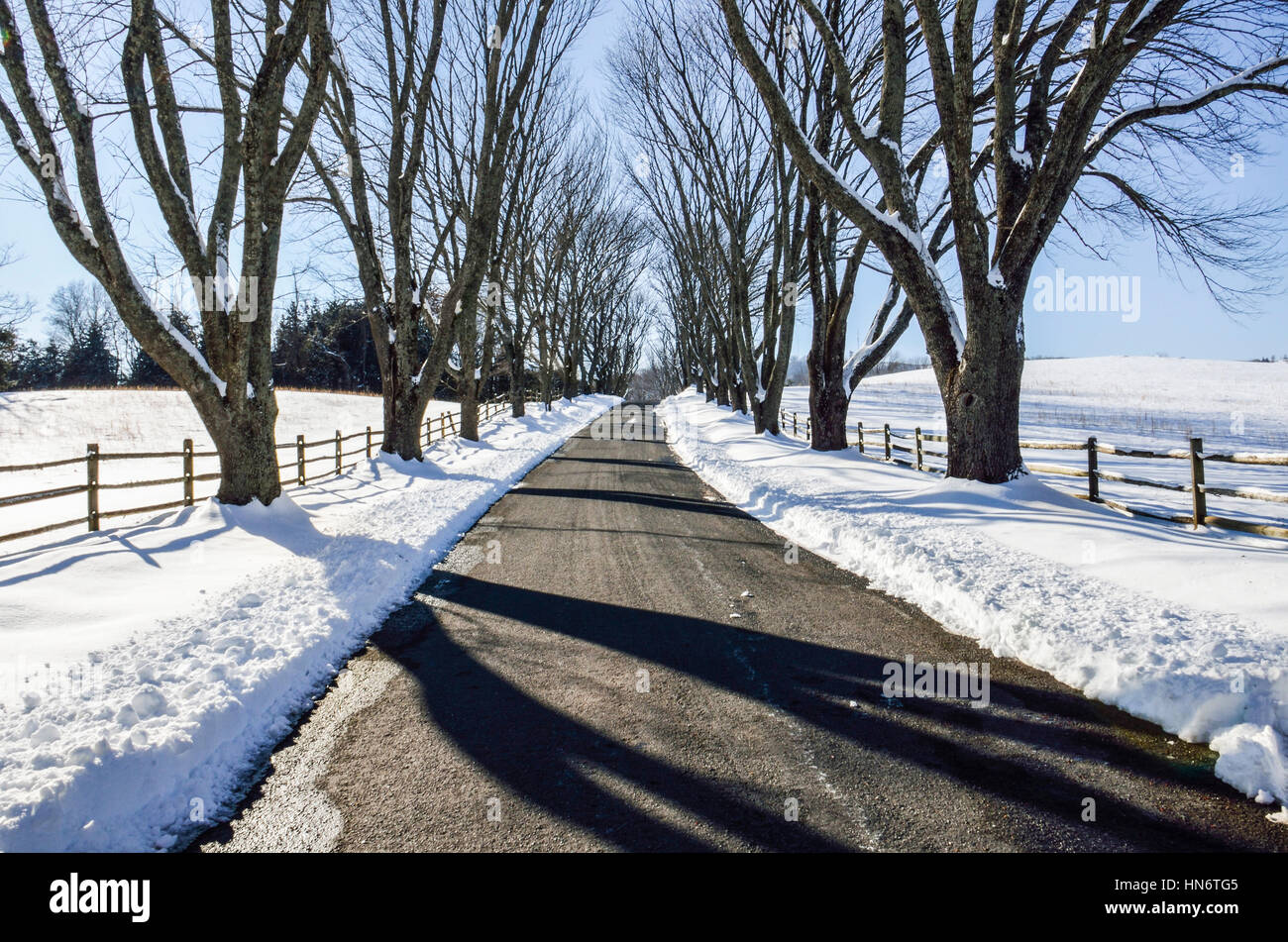 A road leading to Ash Lawn-Highland, Home of President James Monroe ...
