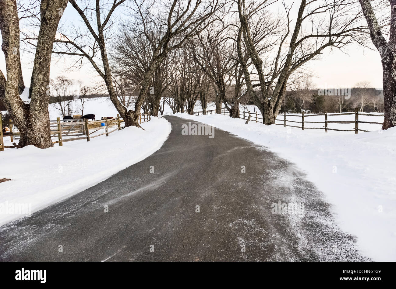 A road leading to Ash Lawn-Highland, Home of President James Monroe ...