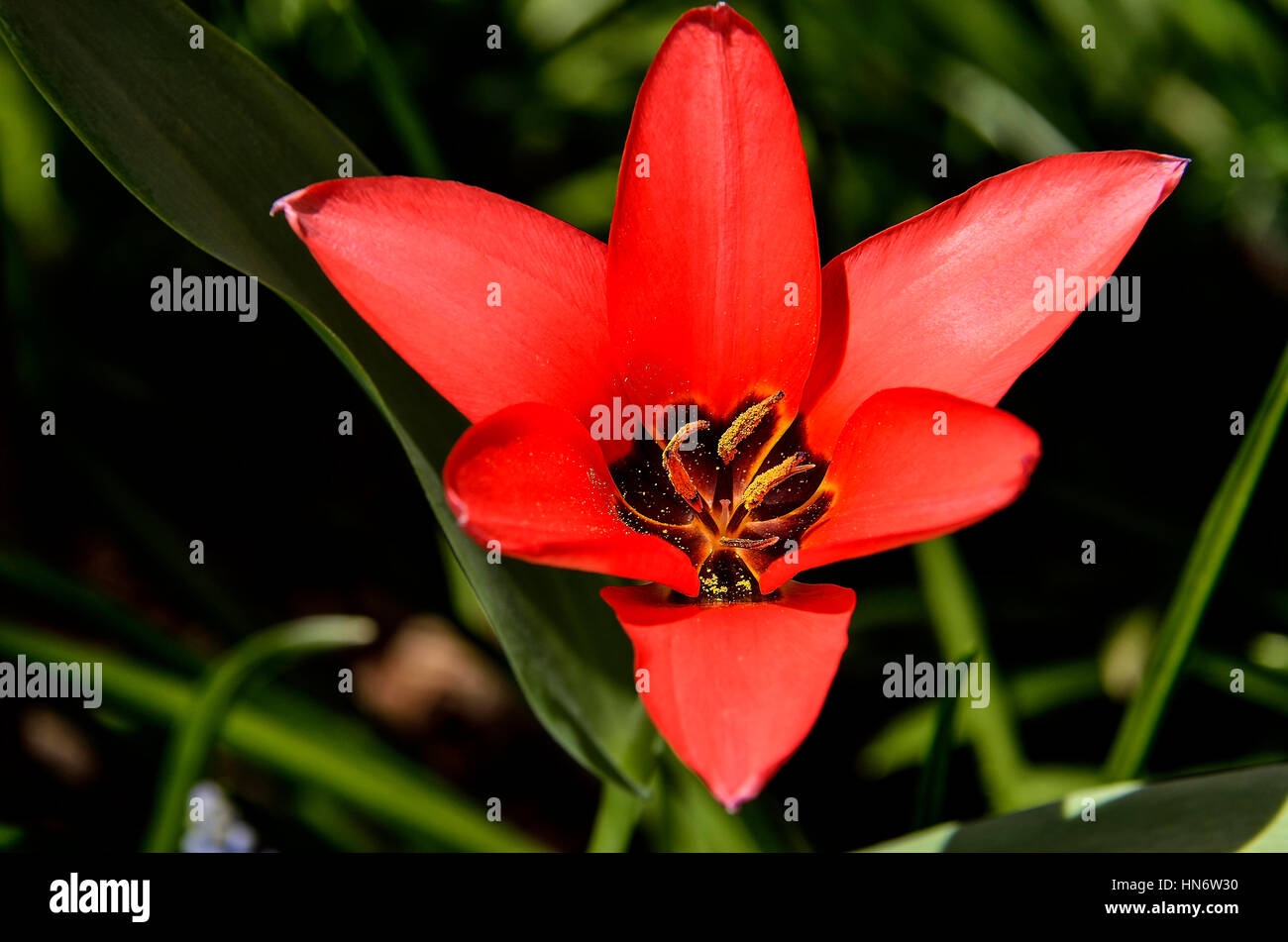 Peach rectangle hi-res stock photography and images - Alamy
