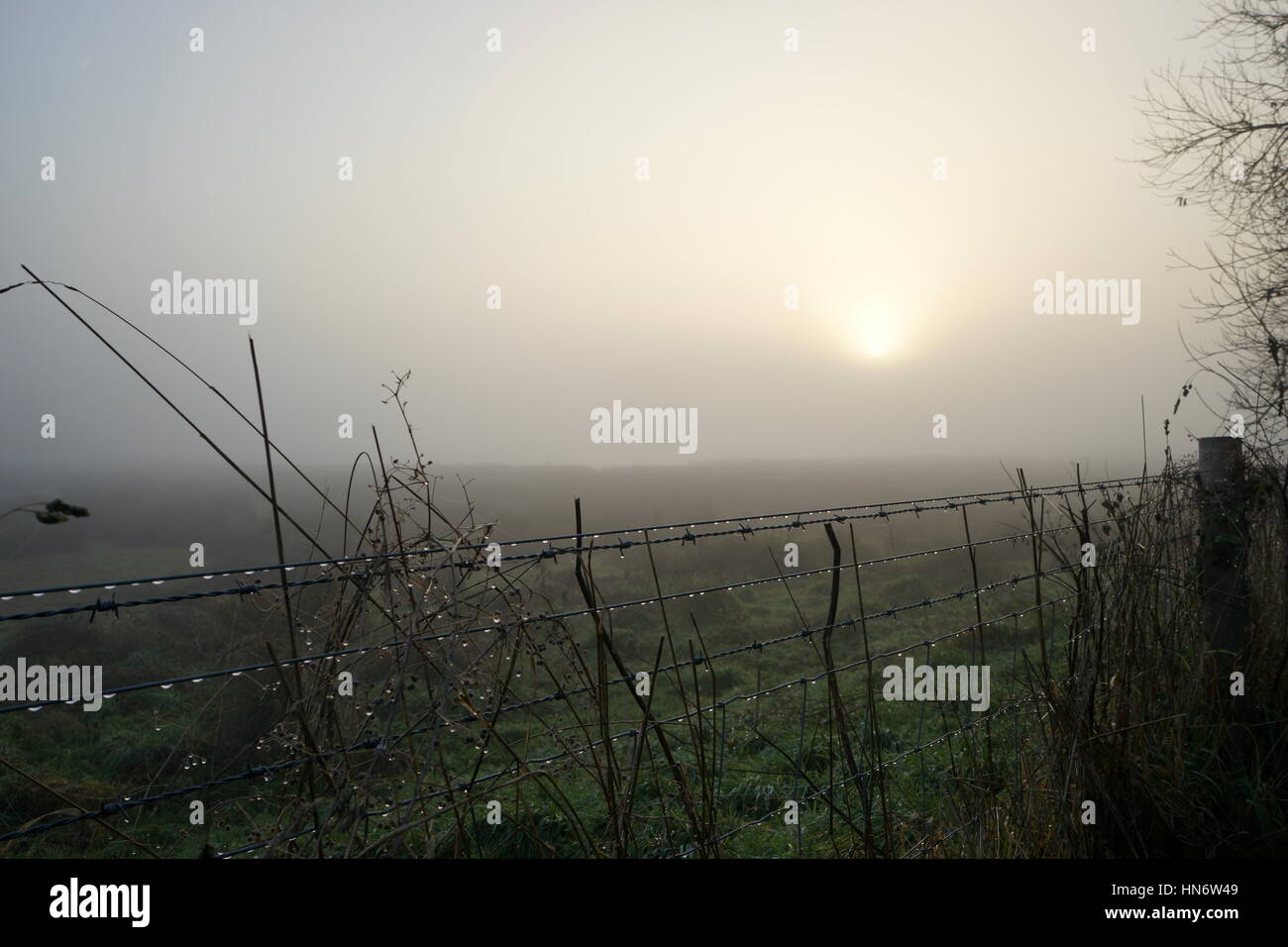 Misty winter sunset Stock Photo - Alamy