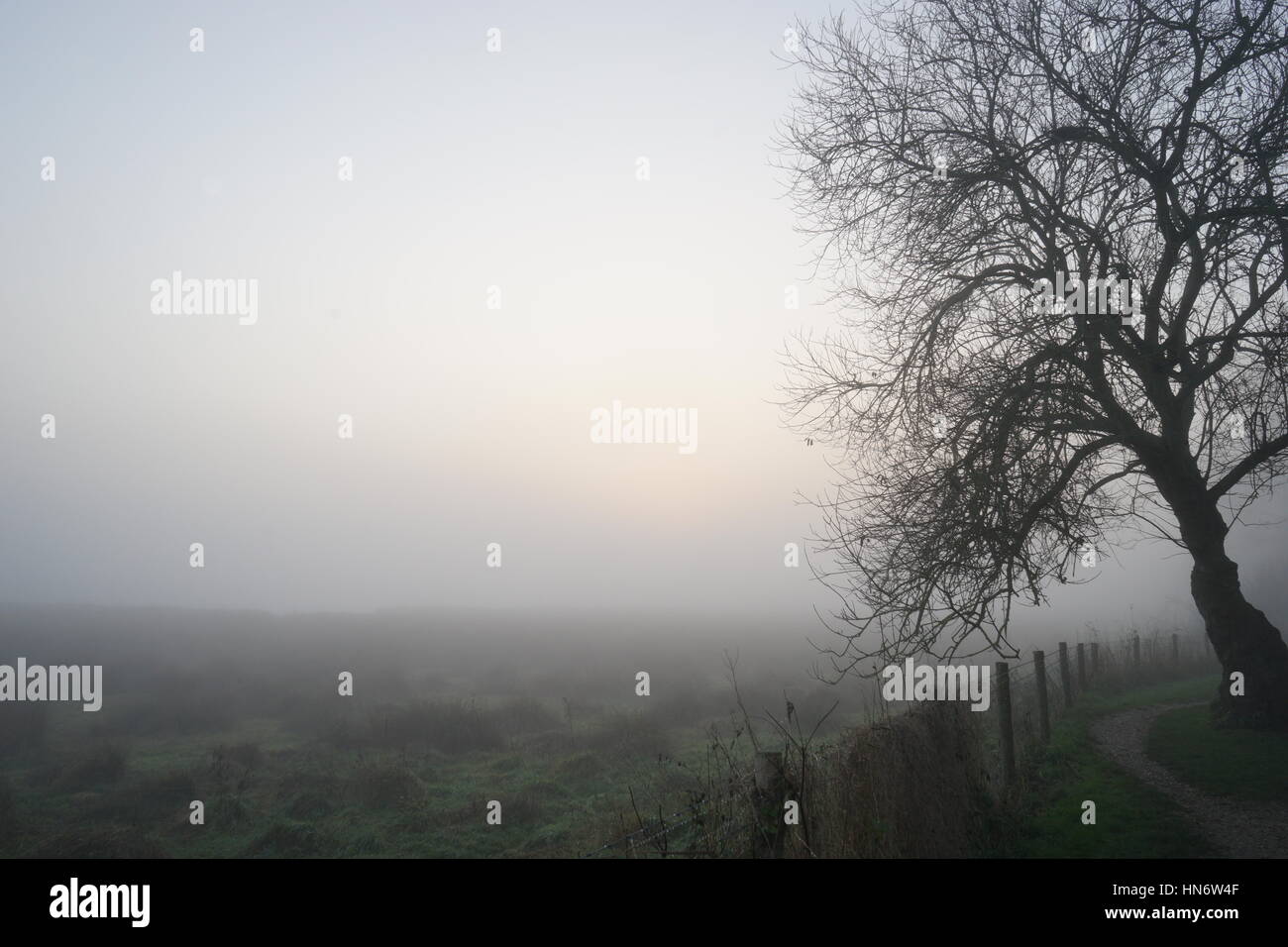 Misty winter sunset Stock Photo - Alamy