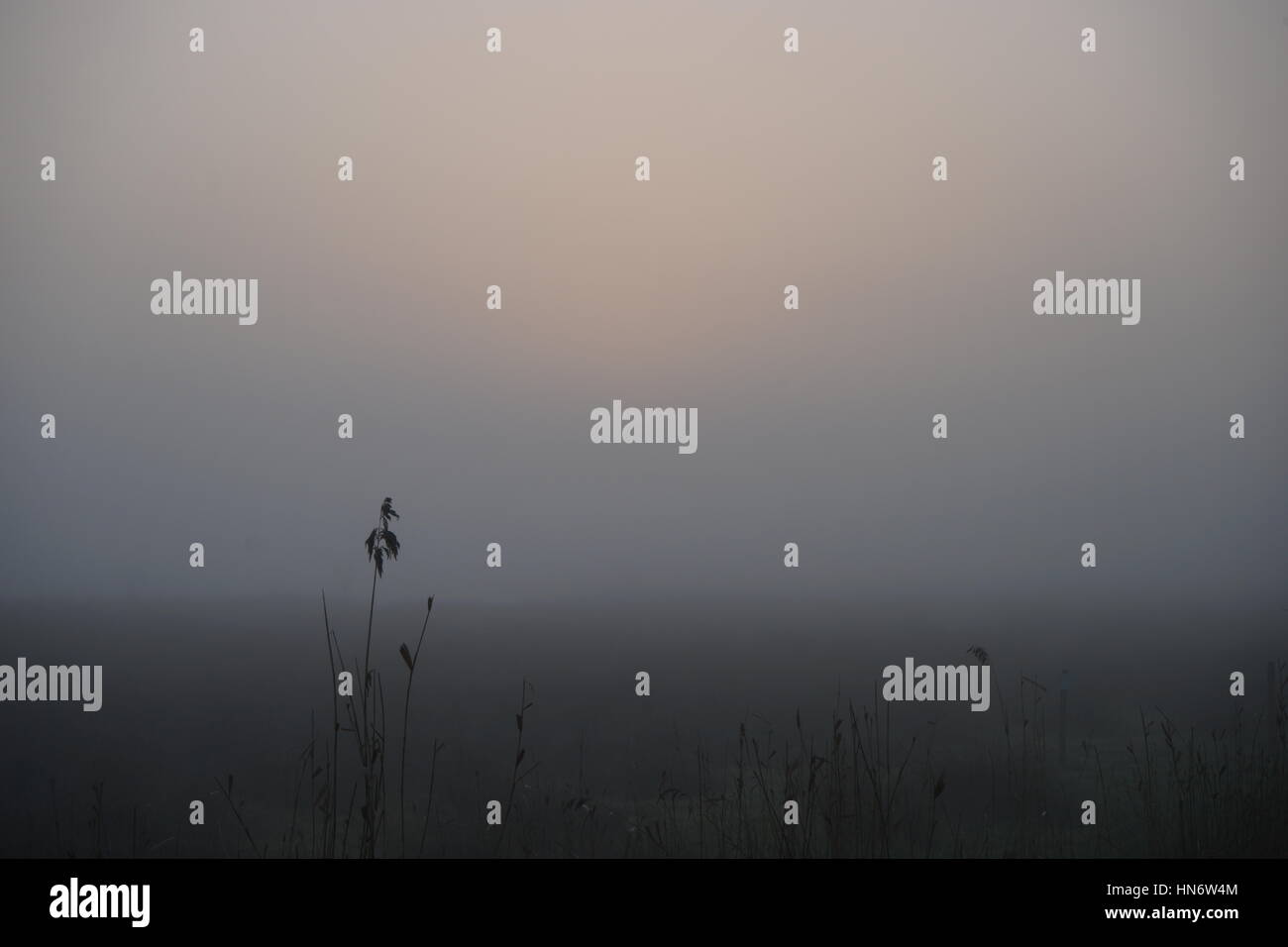 Misty winter sunset Stock Photo - Alamy