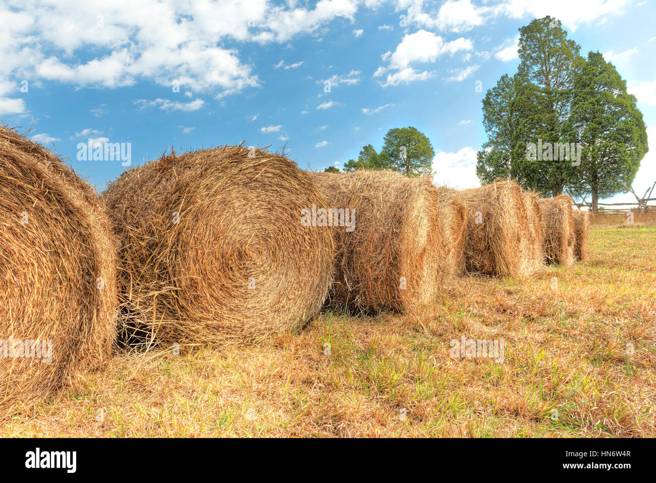 Closeup of hay roll haystack in countryside field in Virginia Stock ...