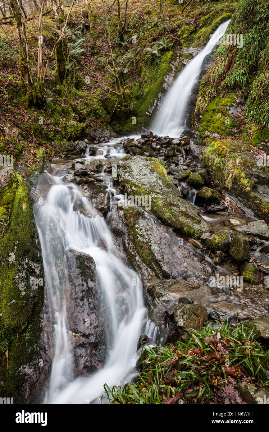 Holme Force, Holme Wood, Loweswater, Lake District, Cumbria Stock Photo ...